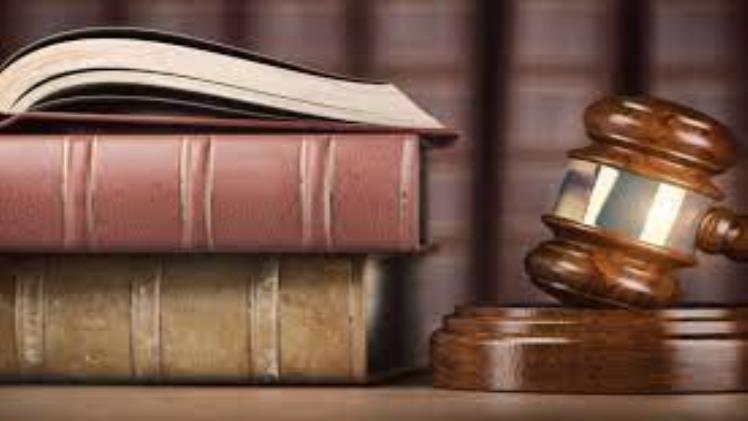 The Importance of Law in Society: Understanding the Basics - Freshers web