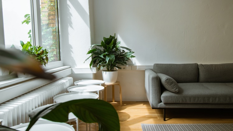 Embrace the Sun: Top 6 Interior Design Trends for Ultimate Sun Control ...